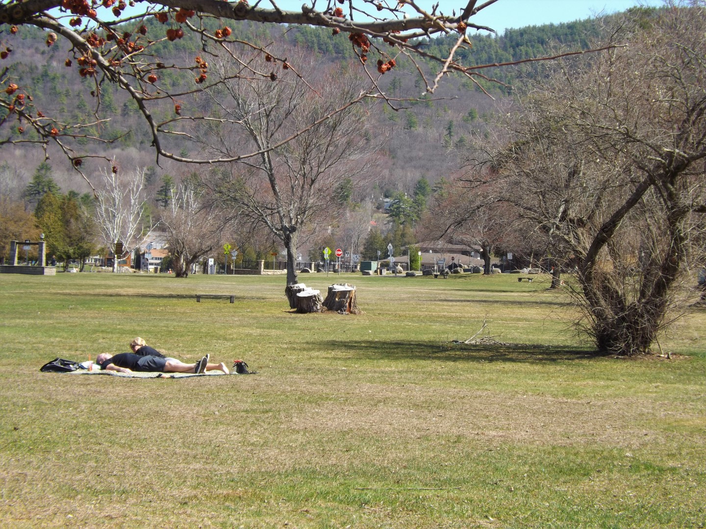 Photos: A Lake George spring day on pause - The Lake George Examiner
