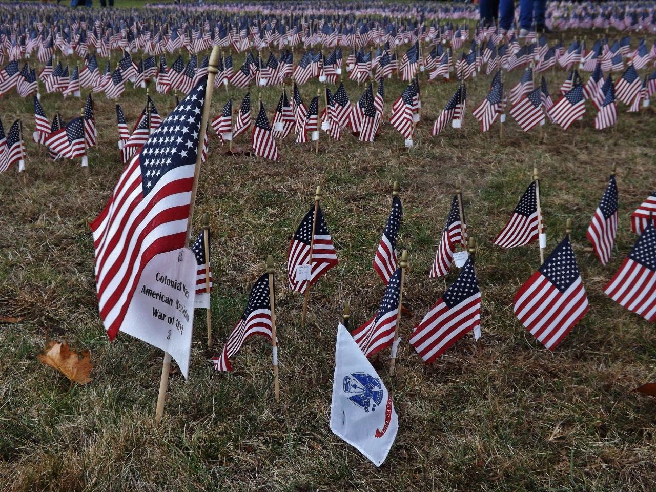 American military honored with Veterans Day Field of Flags Ceremony ...