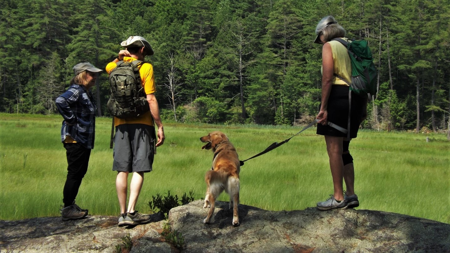 Hundreds of outdoor enthusiasts participate in LGLC Hike-a-Thon 2023 ...